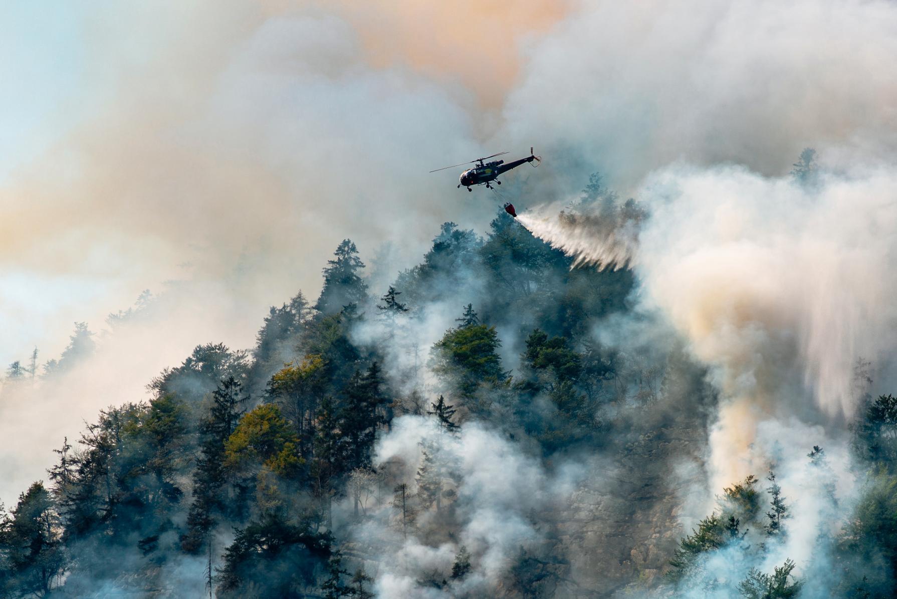 Wildfire Solution – Products – OroraTech